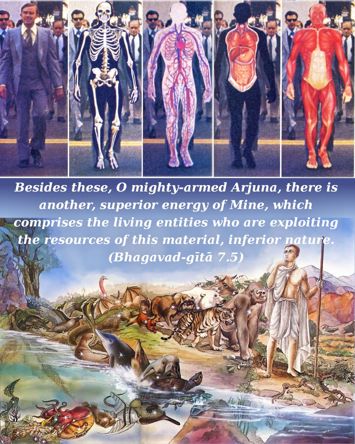 Bhagavad Gita: Chapter 7, Verse 5 - VivekaVani